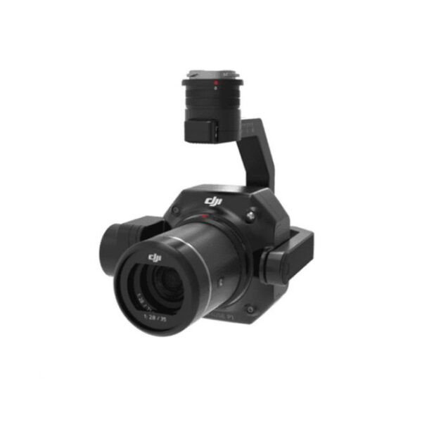 DJI Zenmuse P1 - Flying Eye